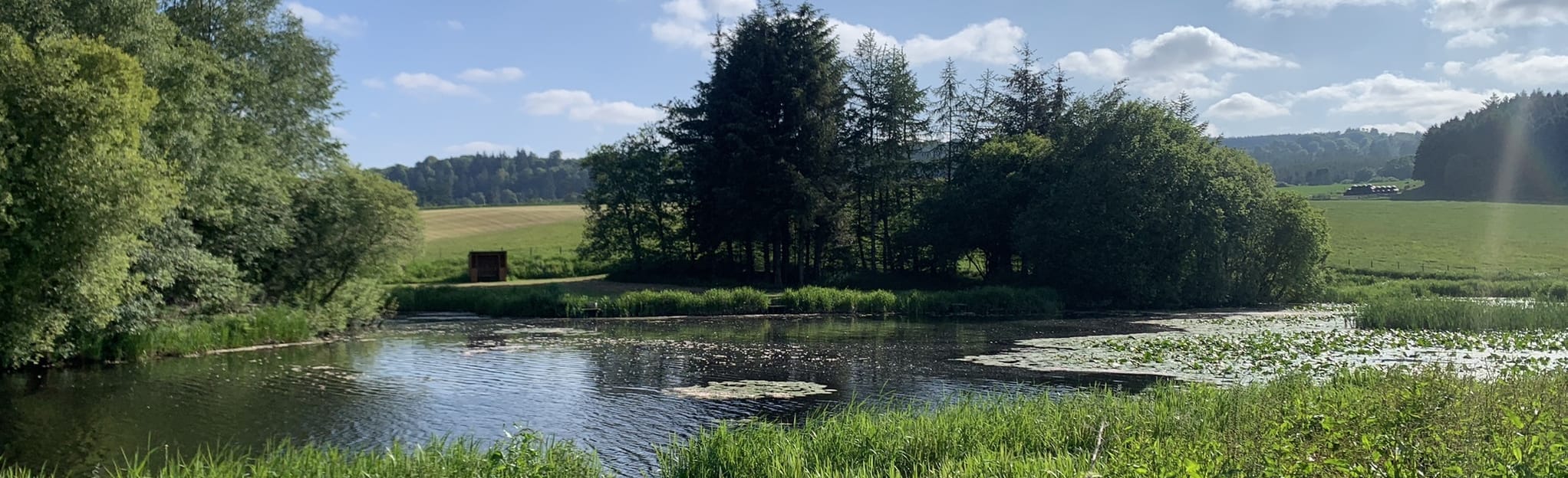 Old Road to Craigend Lime Works, Stirling, Scotland - 15 Reviews, Map ...