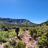 Highline National Recreation Trail, Arizona - 123 Reviews, Map | AllTrails