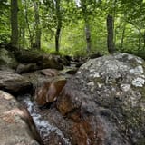 Shamokin Nature Trail, Virginia - 99 Reviews, Map | AllTrails