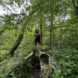 Shamokin Nature Trail, Virginia - 99 Reviews, Map | AllTrails