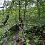 Shamokin Nature Trail, Virginia - 99 Reviews, Map | AllTrails