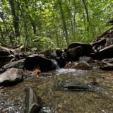 Shamokin Nature Trail, Virginia - 85 Reviews, Map | AllTrails