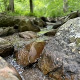 Shamokin Nature Trail, Virginia - 99 Reviews, Map | AllTrails