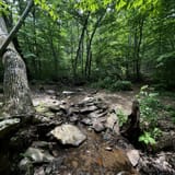 Shamokin Nature Trail, Virginia - 85 Reviews, Map | AllTrails
