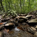 Shamokin Nature Trail, Virginia - 85 Reviews, Map | AllTrails