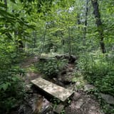 Shamokin Nature Trail, Virginia - 99 Reviews, Map | AllTrails
