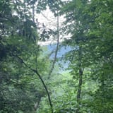 Mount Toby Trail, Massachusetts - 913 Reviews, Map | AllTrails