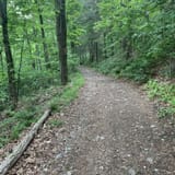 Mount Toby Trail, Massachusetts - 913 Reviews, Map | AllTrails