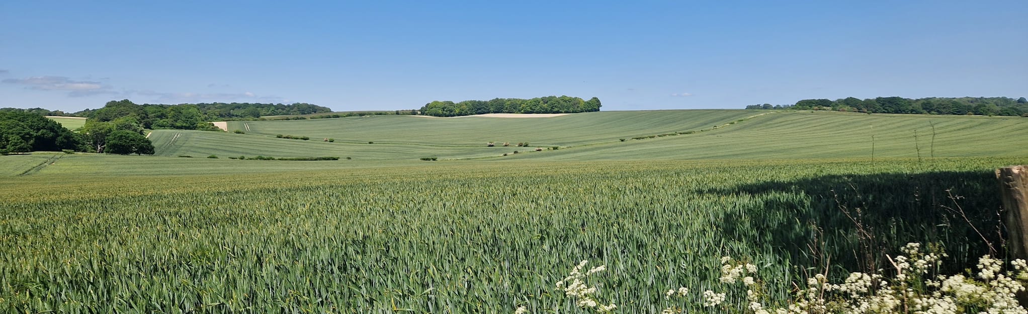 Winterslow and Clarendon Way Circular, Wiltshire, England - 13 Reviews ...