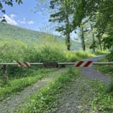 Elkhorn Lake, Virginia - 24 Reviews, Map | AllTrails