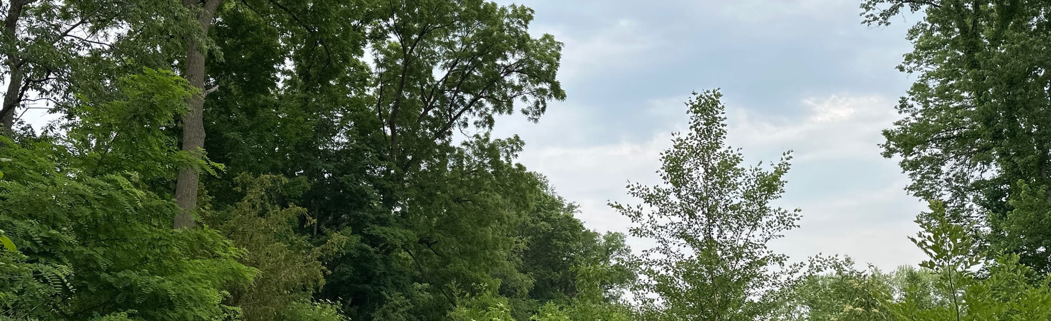 Cattail Trail Loop, Indiana - 35 Reviews, Map | AllTrails