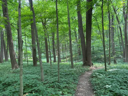 Best Hikes and Trails in Purdue Horticultural Park | AllTrails