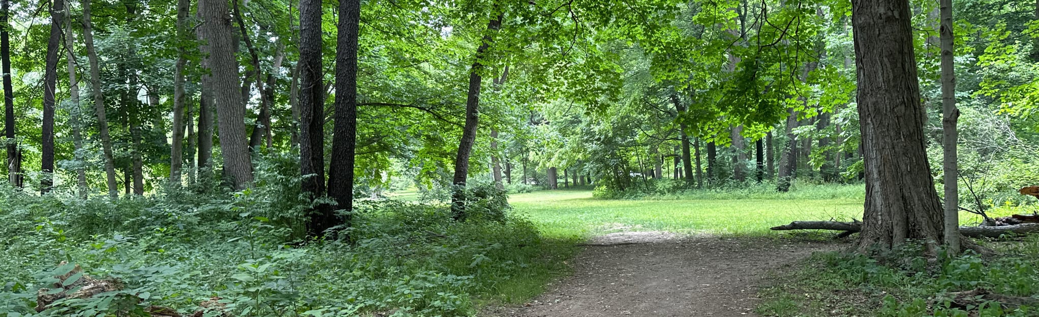 AllTrails | Purdue Horticulture Park, Stewart Woods Loop: 37 Reviews ...