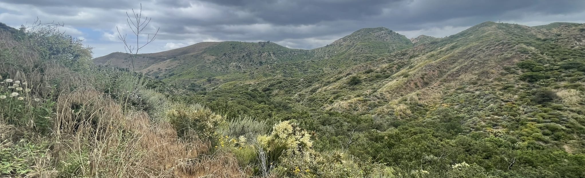 Mustard Road and Billy Goat Loop, California - 117 Reviews, Map | AllTrails