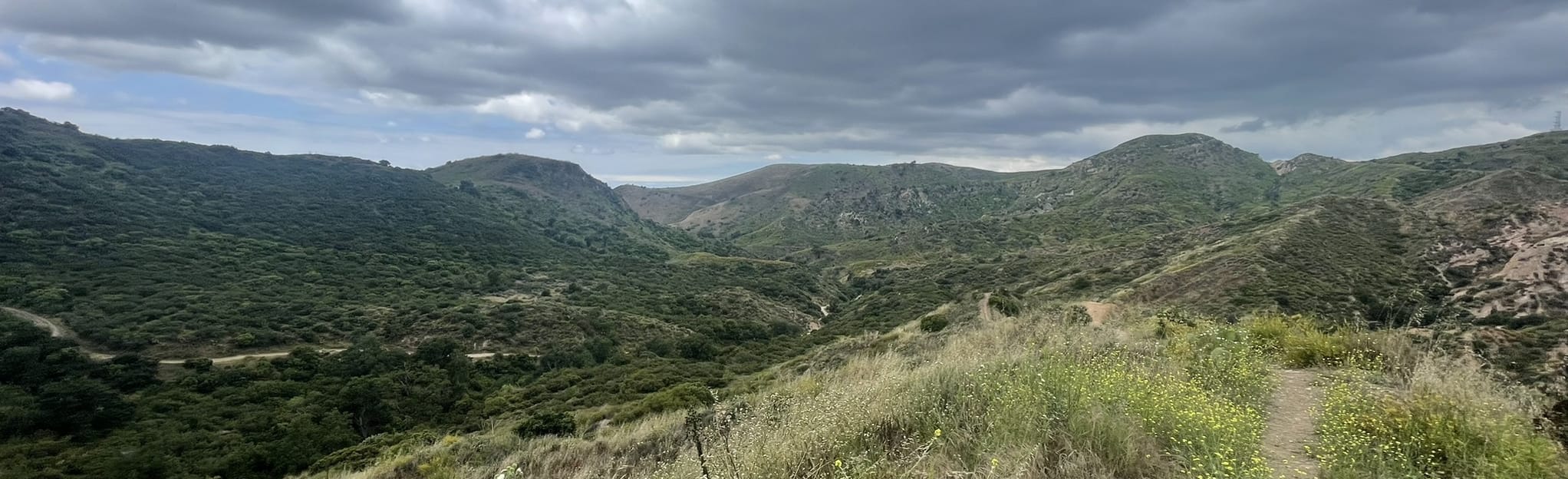 Whiting Ranch Trail: 1,578 Reviews, Map - California | AllTrails