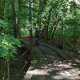 Dauset Nature Center Loop, Georgia - 751 Reviews, Map | AllTrails