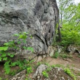 Appalachian Trail: Deep Gap to Dicks Creek, North Carolina - 88 Reviews ...