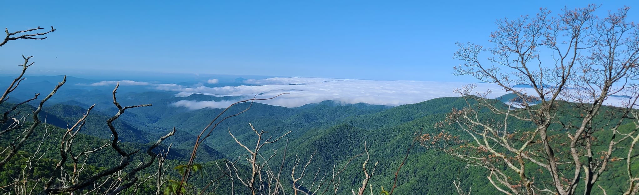 Appalachian and Beech Gap Trail via Deep Gap: 38 Reviews, Map - North ...