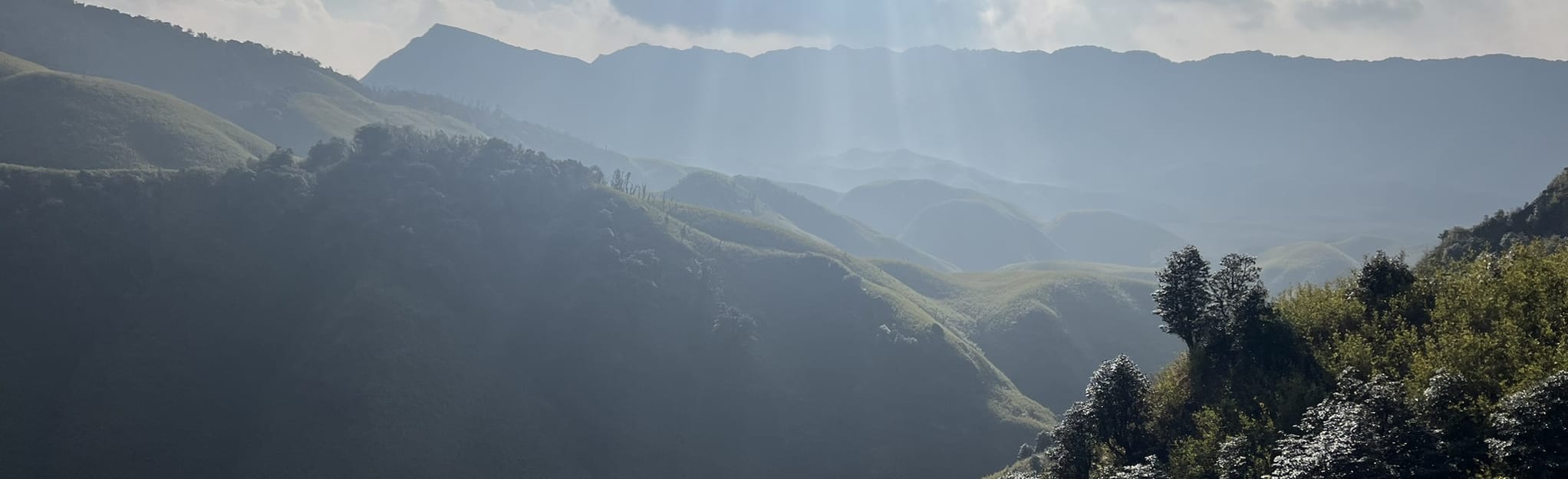Dzukou Valley Trek: 6 Reviews, Map - Nagaland, India | AllTrails