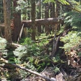 Lake Isabel Trail #1080, Washington - 376 Reviews, Map | AllTrails