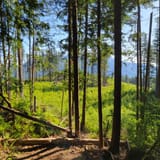 Lake Isabel Trail #1080, Washington - 376 Reviews, Map | AllTrails