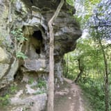 Alley Spring Overlook Trail, Missouri - 318 Reviews, Map | AllTrails