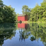 Alley Spring Overlook Trail, Missouri - 318 Reviews, Map | AllTrails