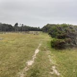 Point Arena-Stornetta Unit of the California Coastal National Monument ...