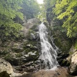 Stiles Falls, Virginia - 497 Reviews, Map | AllTrails