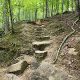 Bear Creek Outcroppings Trail, Mississippi - 589 Reviews, Map | AllTrails