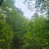Freetown Fall River State Forest Loop, Massachusetts - 347 Reviews, Map ...