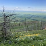Red Grade Trails System, Wyoming - 110 Reviews, Map | AllTrails