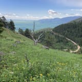 Red Grade Trails System, Wyoming - 110 Reviews, Map | AllTrails