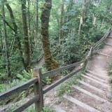 Puget Park Trail, Washington - 339 Reviews, Map | AllTrails