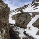 Linkins Lake Trail, Colorado - 339 Reviews, Map | AllTrails