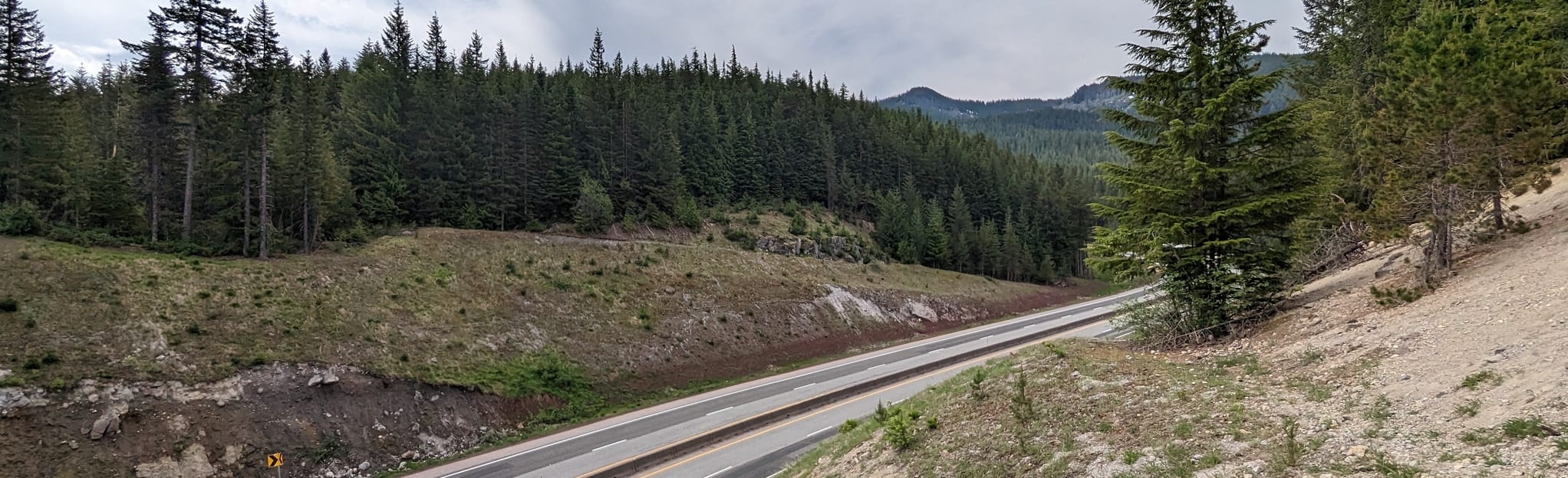 Laurel Hill Chute: 31 Reviews, Map - Oregon | AllTrails