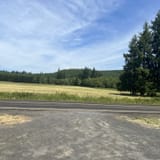 Willapa Hills Trail, Washington - 334 Reviews, Map | AllTrails