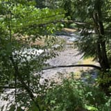 Willapa Hills Trail, Washington - 334 Reviews, Map | AllTrails