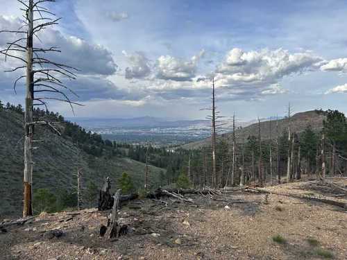 10 Best Trail Running Trails in Humboldt-Toiyabe National Forest ...
