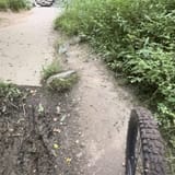 Difficult Run Trail, Virginia - 710 Reviews, Map | AllTrails