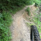 Difficult Run Trail, Virginia - 710 Reviews, Map | AllTrails