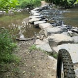 Difficult Run Trail, Virginia - 710 Reviews, Map | AllTrails