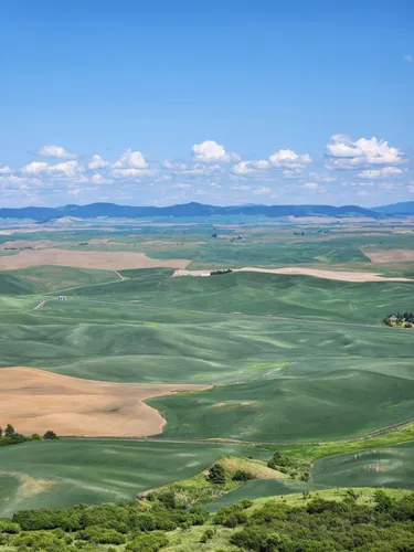 Best Hikes and Trails in Steptoe Butte State Park | AllTrails