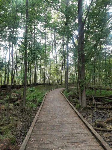 Best Bird Watching Trails in Pinconning | AllTrails