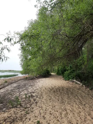 Best Bird Watching Trails in Pinconning | AllTrails