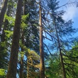 Spider Lake Trail, Washington - 231 Reviews, Map | AllTrails