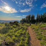 Hidden Falls via Tarbell Trail , Washington - 639 Reviews, Map | AllTrails