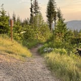 Hidden Falls via Tarbell Trail , Washington - 639 Reviews, Map | AllTrails