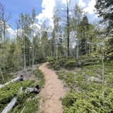 Gray Back Peak Trail, Colorado - 489 Reviews, Map | AllTrails