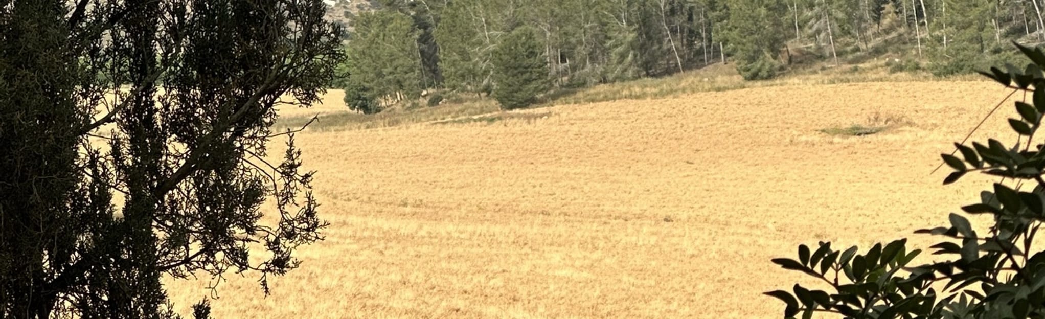 Haruvit Forest Eastern Loop, Southern District HaDarom, Israel - Map ...